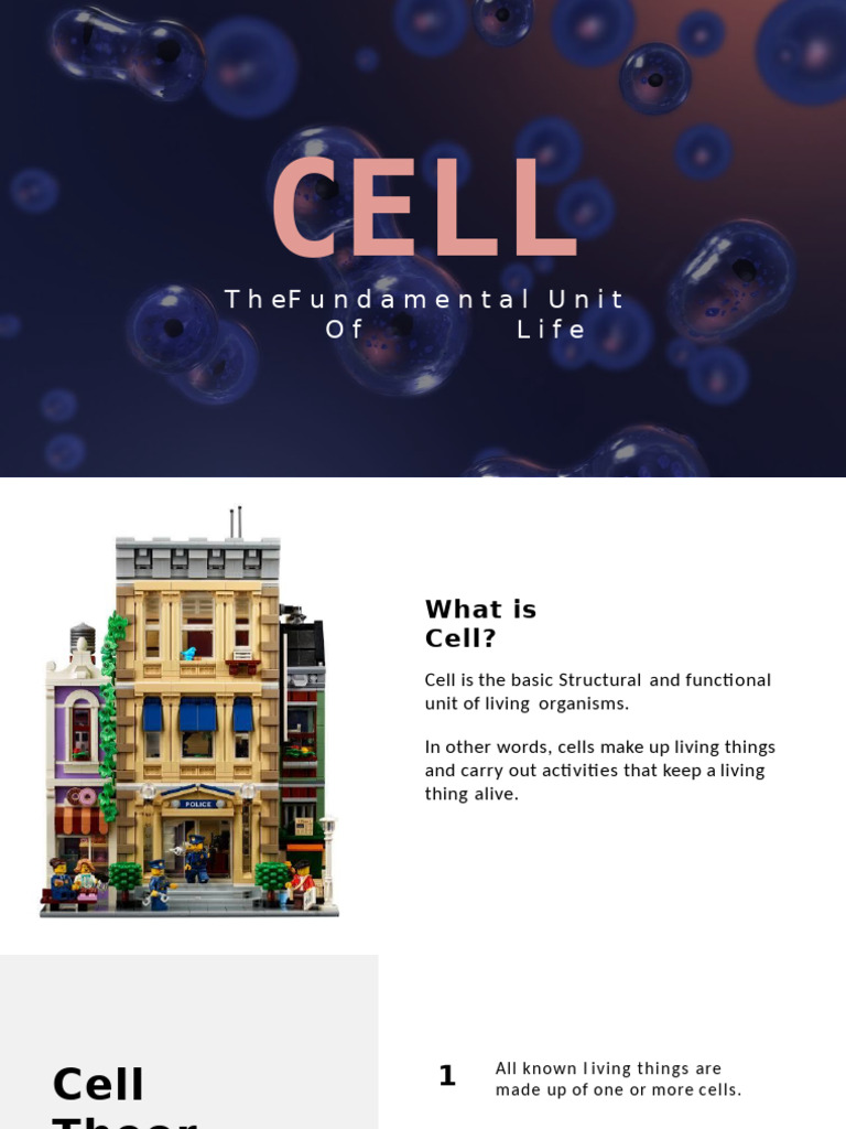 The Cell | PDF | Endoplasmic Reticulum | Cell (Biology)