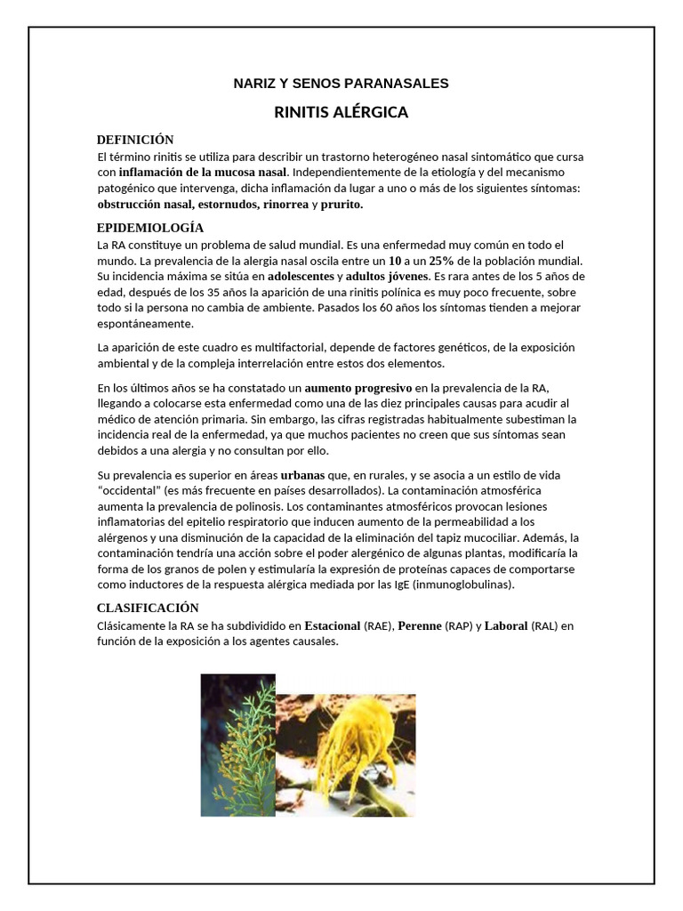 Expo Final | PDF