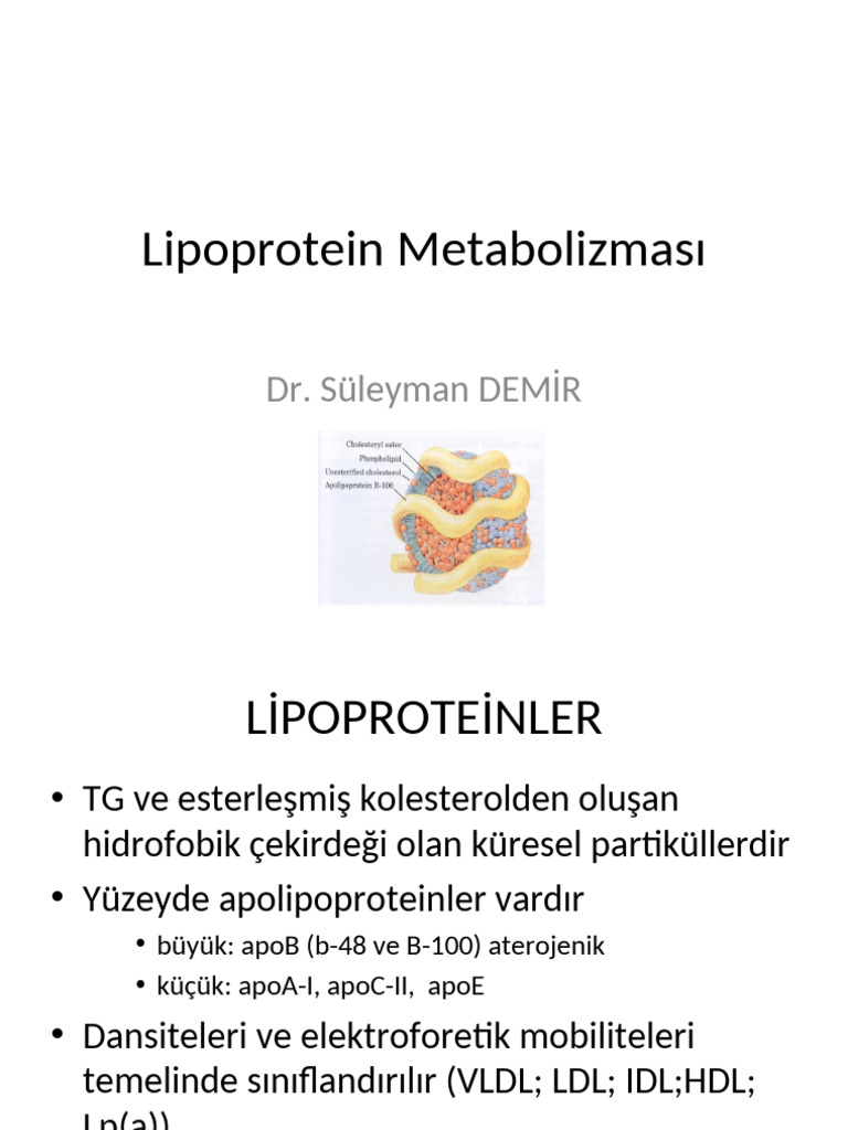 6 2-Lipoprotein | PDF