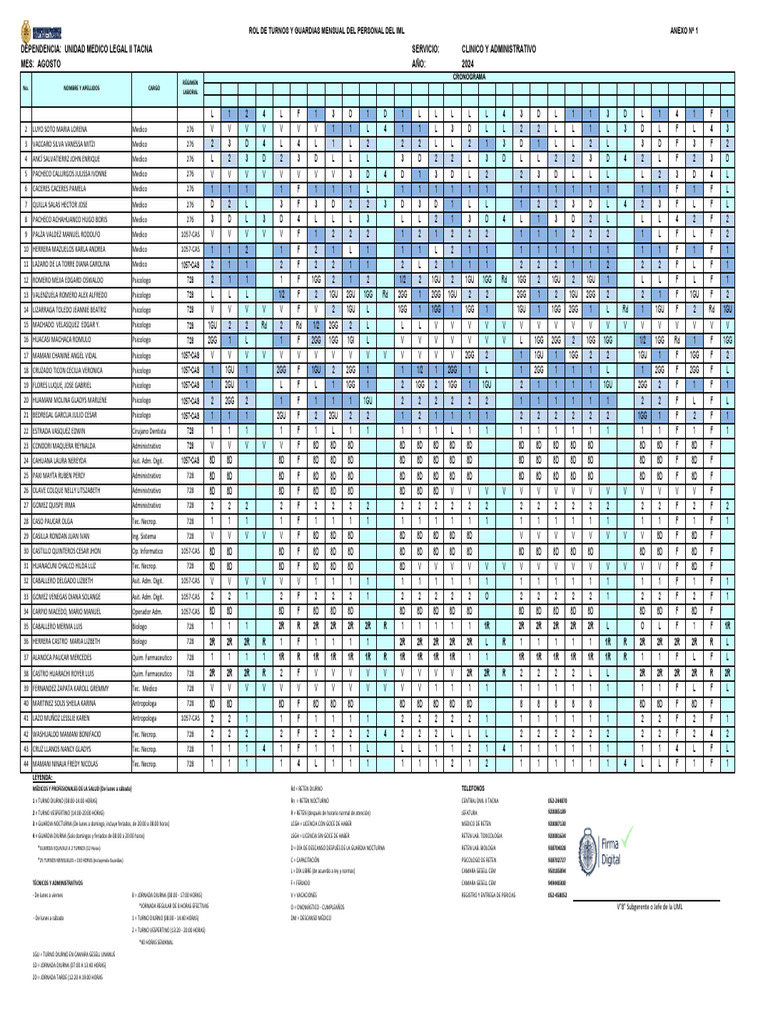 1 Rol de Turnos Agosto 2024 - Uml Ii Tacna (F) | PDF