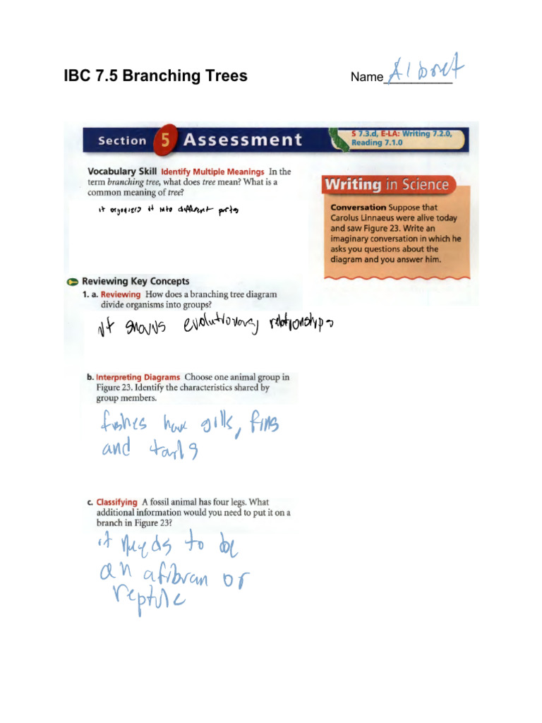 IBC 7.5 Branching Trees | PDF