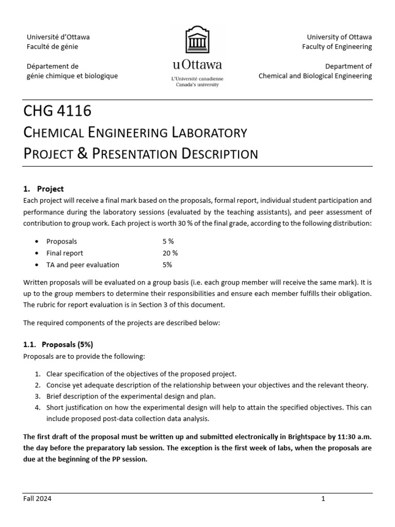 CHG4116 F2024 Project & Presentation Guidelines | PDF | Experiment | Art
