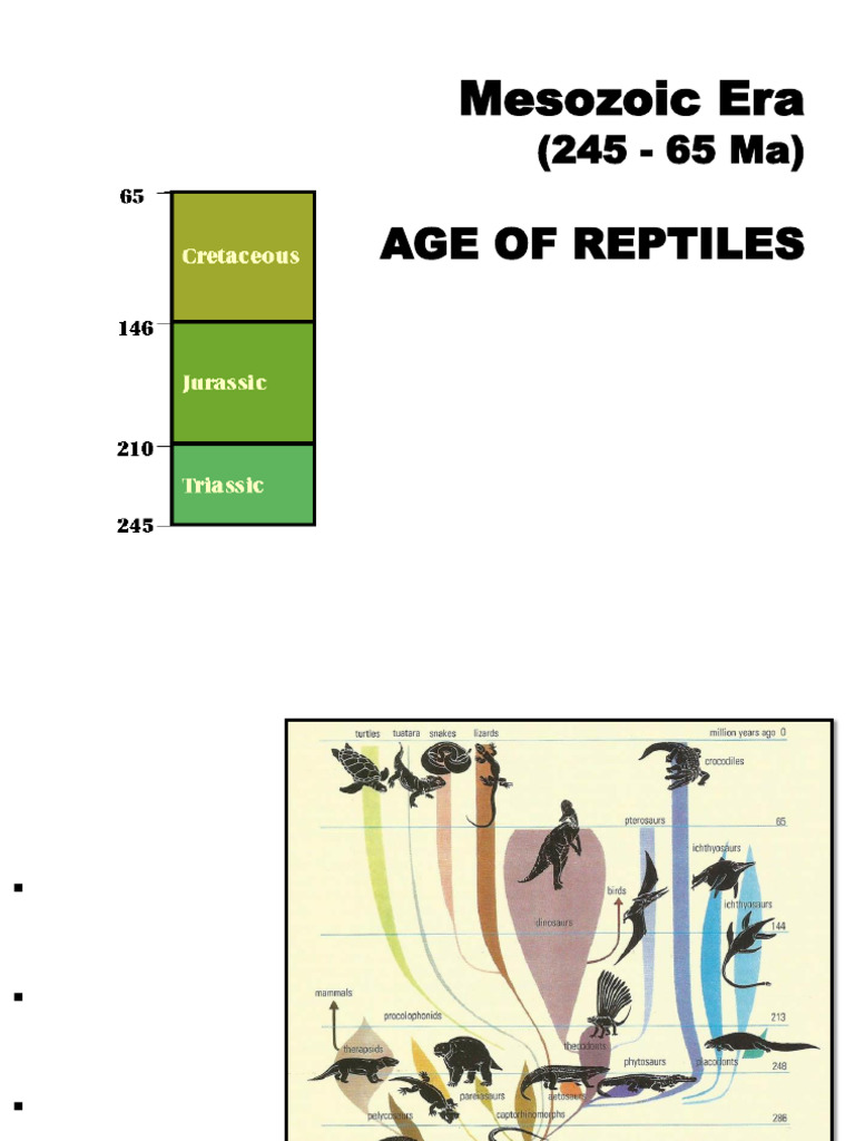 Geologic History Part 2 Mesozoic to Cenozoic Era (2024) | PDF