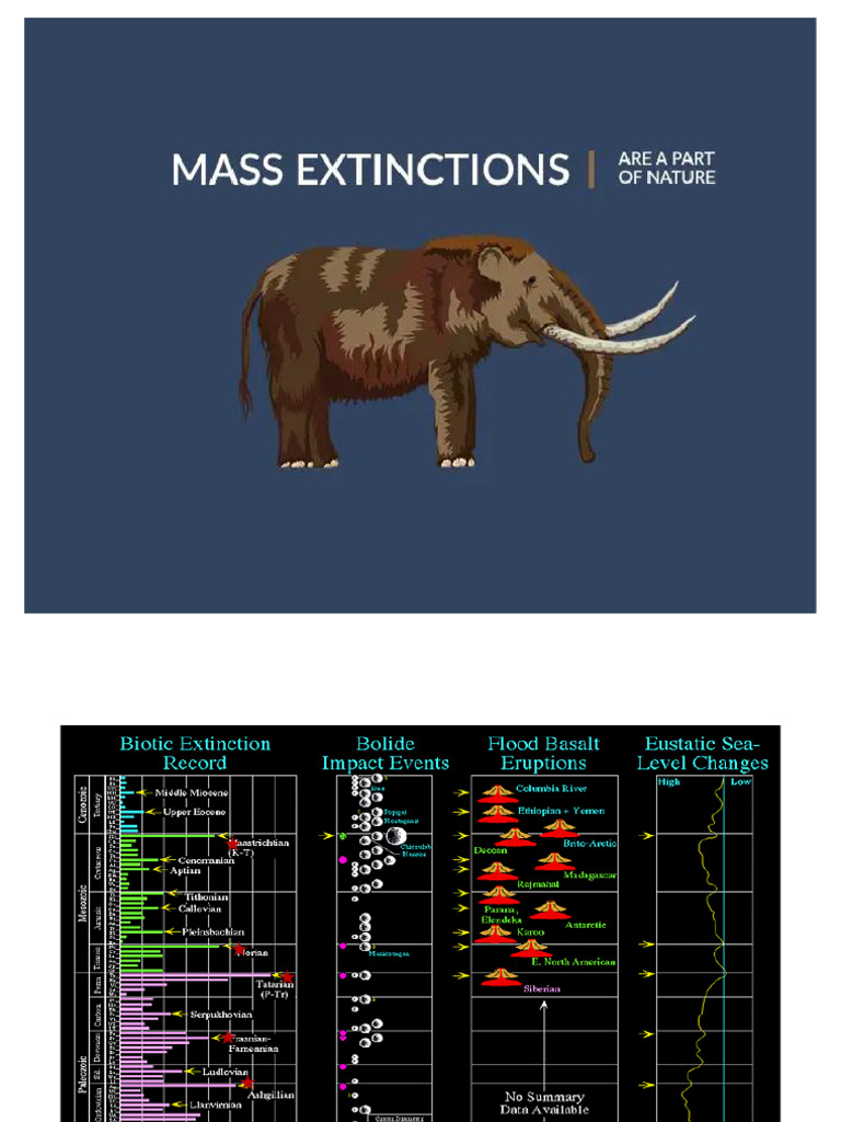 Mass Extinction (2024) | PDF