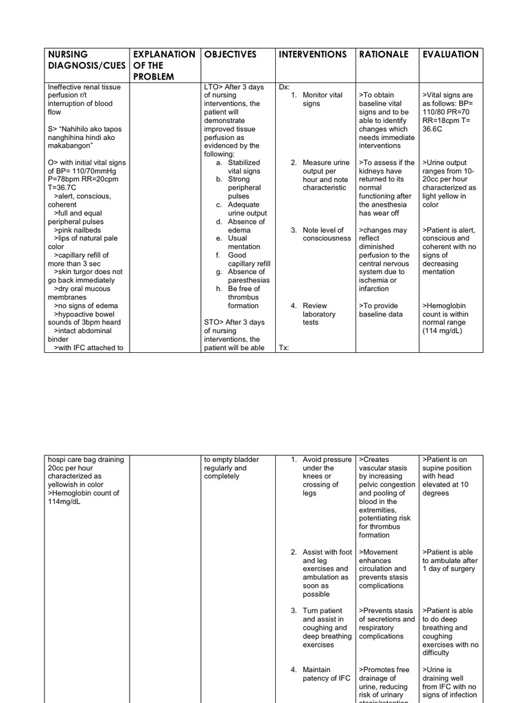 NCP Proper Tahbso | PDF | Perfusion | Kidney