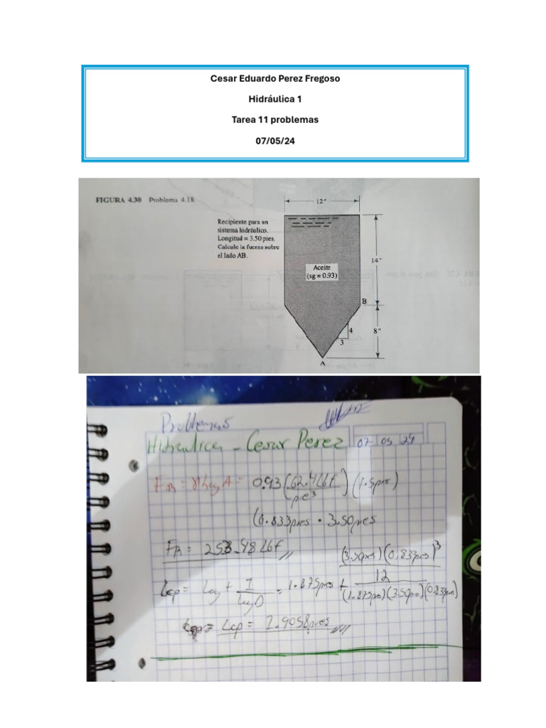 Tarea11 Problemas Cepf | PDF