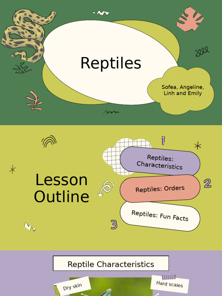 Reptiles | PDF