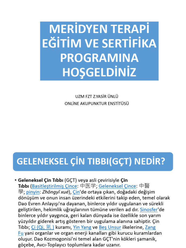 Meridyen Terapi | PDF