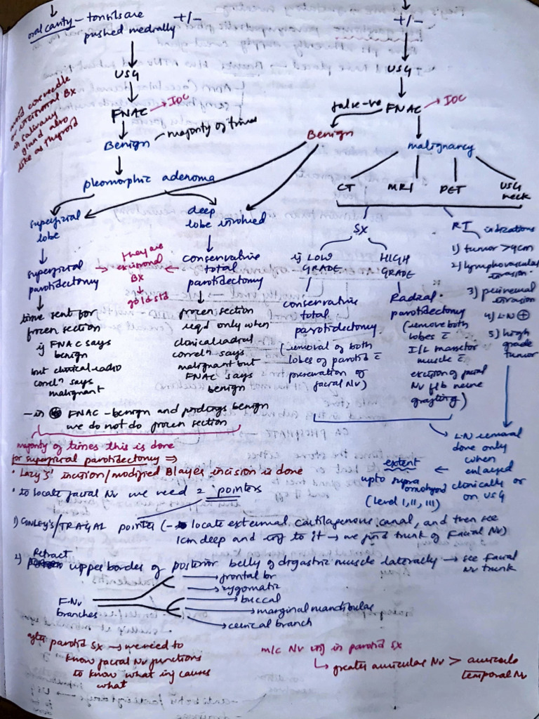 Surgery Notes 3 | PDF