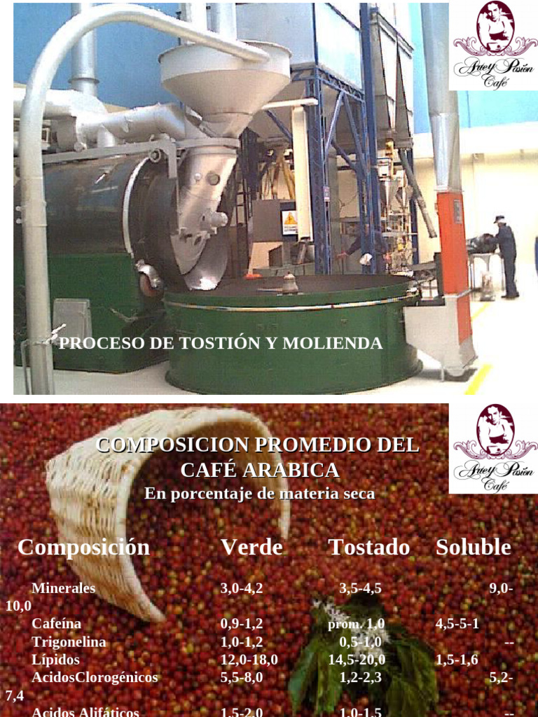 Proceso de Tostión | PDF | café | Molino (molienda)