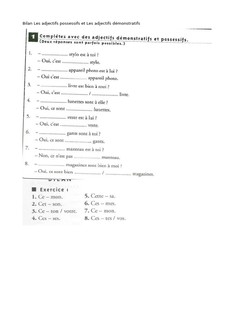 Bilan Les Adjectifs Possessifs Et Les Adjectifs Démonstratifs | PDF