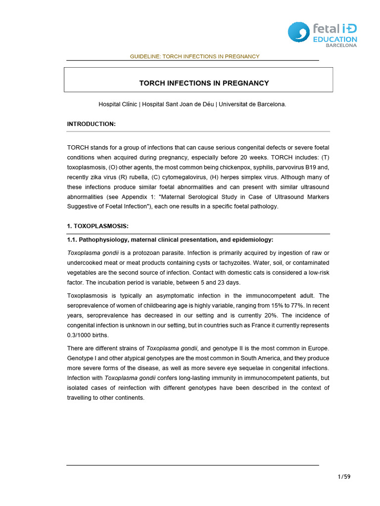 Torch Infections in Pregnancy FETAL ID Education | PDF