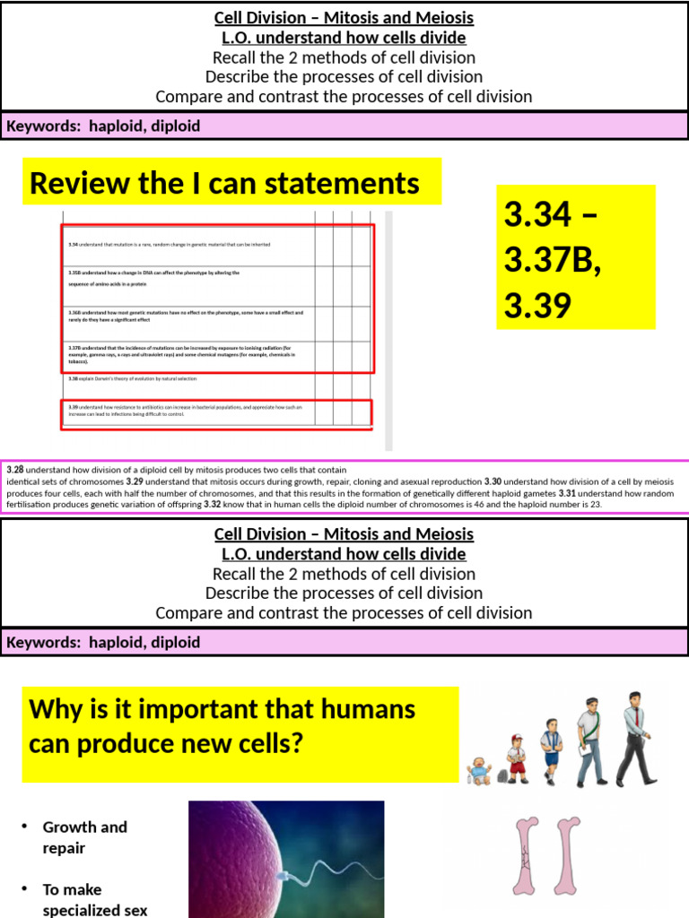 Lesson 8 Mitosis and Meiosis | PDF