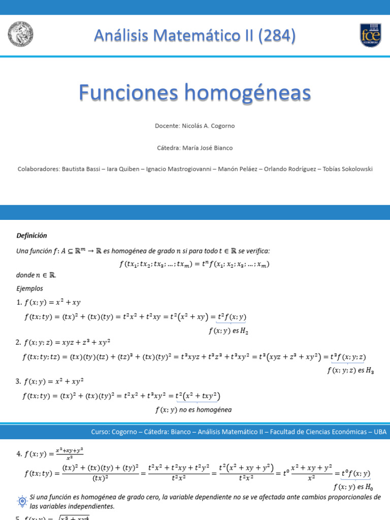 Funciones Homogeneas | PDF | Función de producción | Matemáticas