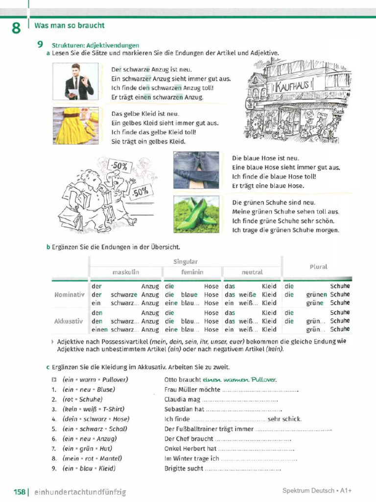 Lösungen - Kapitel 8 - Adjektivdeklination Und Artikel | PDF