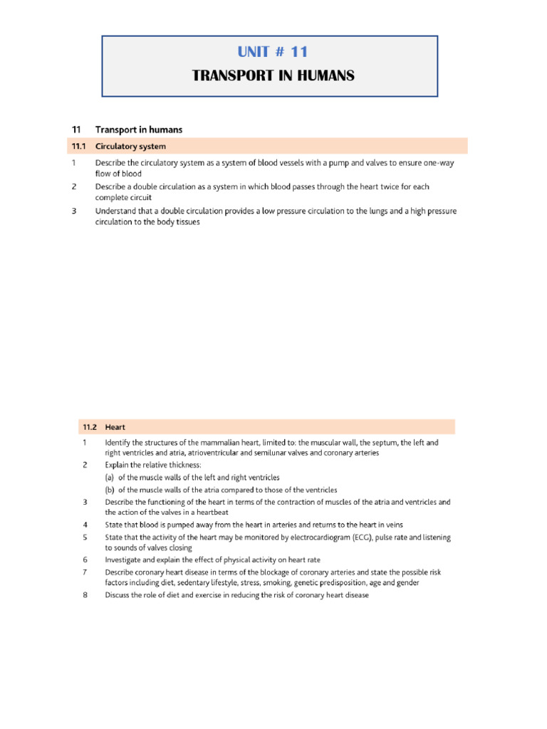 Unit 11 Transport in Humans | PDF