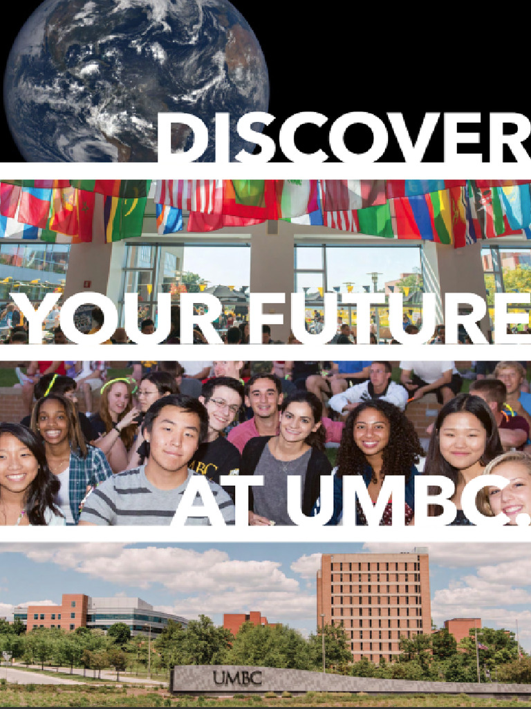 UMBC Brochure | PDF