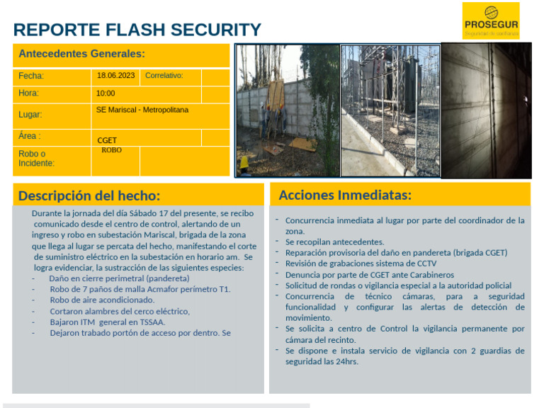 Formato Reporte FLASH | PDF