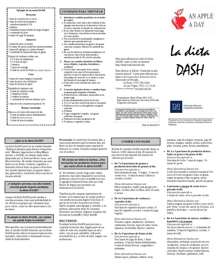 Folleto Dieta Dash | PDF