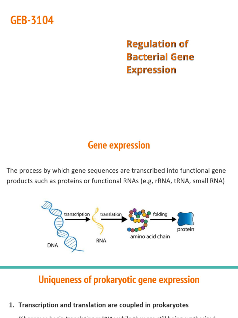 GEB-3104 Regulation of Bacterial Gene Expression | PDF