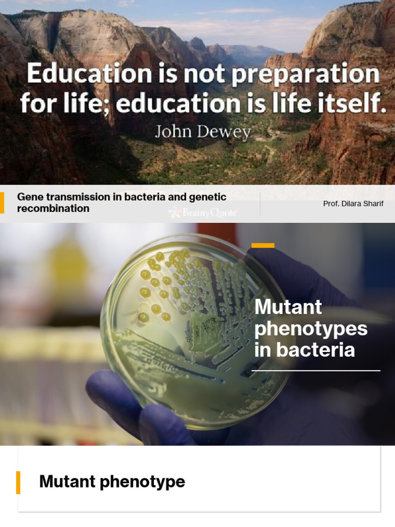 Mutant Phenotype and Gene Transmission | PDF