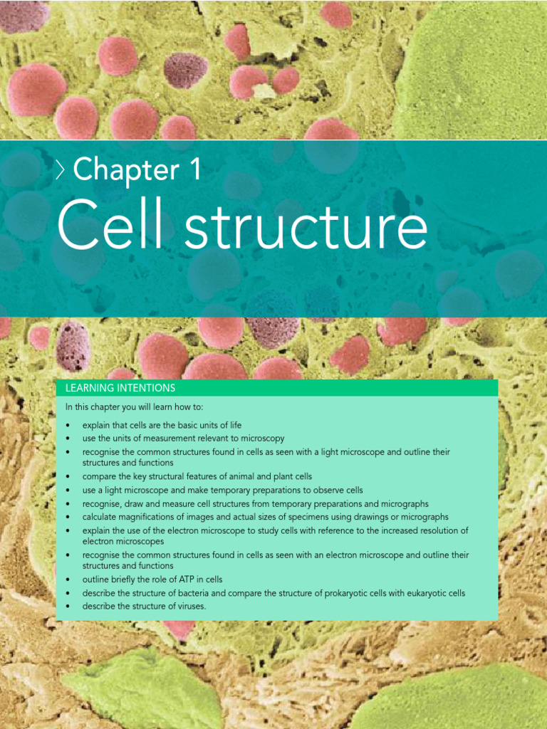 1 - Cell Structure | PDF