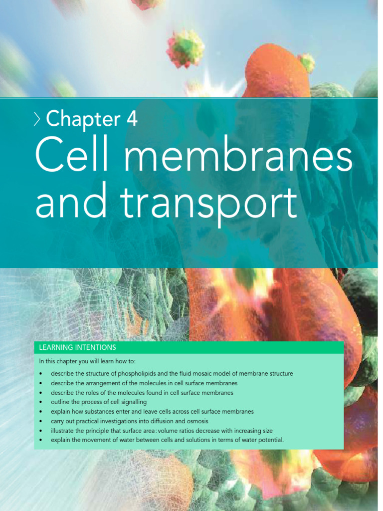 4_Cell membranes and transport | PDF