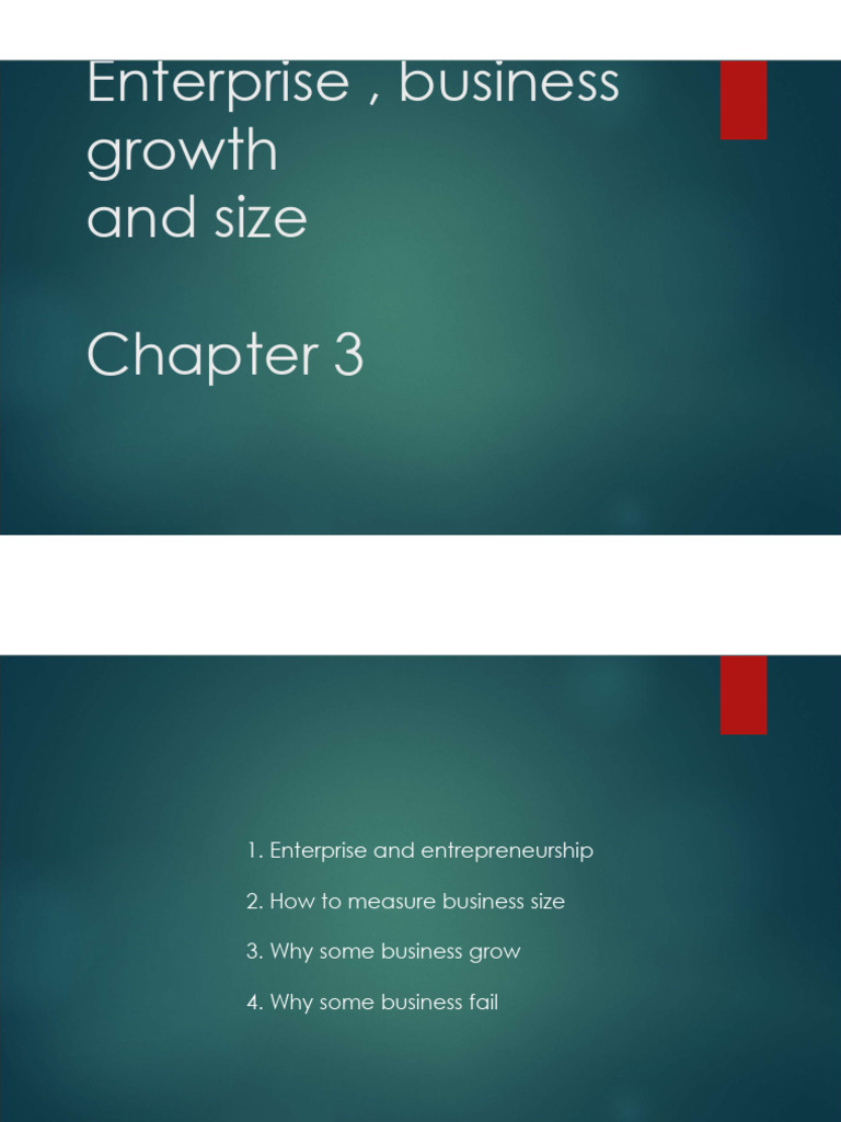 Entrepreneurial Insights | PDF | Entrepreneurship | Career & Growth