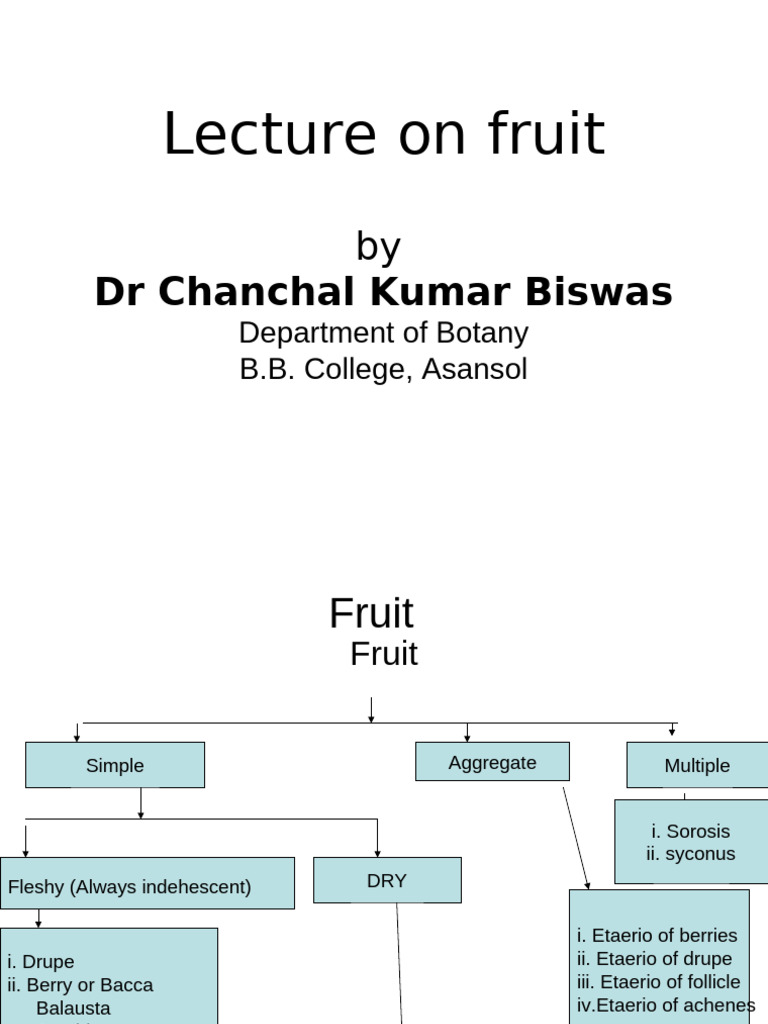 Fruit | PDF