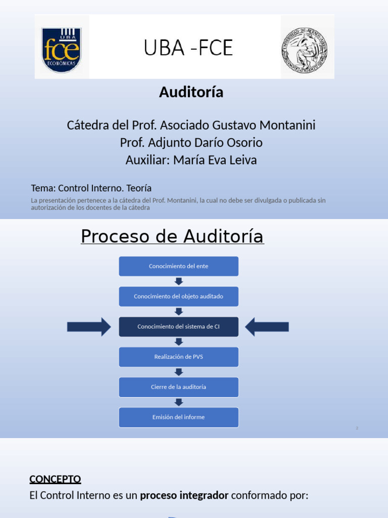 Clase Control Interno - Teoría | PDF