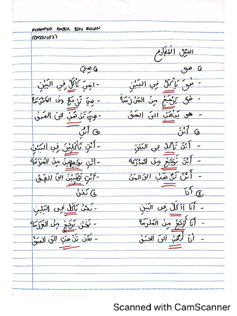 Fiil Mudhorik (DN220052) Muhammad Amirul | PDF