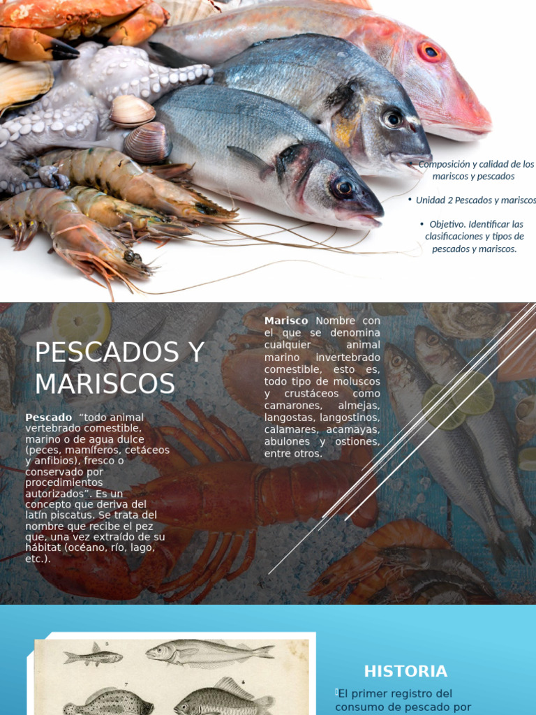 Nombres De Pescados Y Mariscos Recetas De Mariscos Caseras Y Variadas