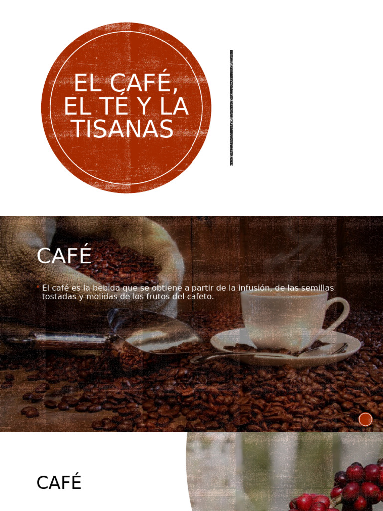 El Café, El Té y La Tisanas | PDF | Té | Chocolate