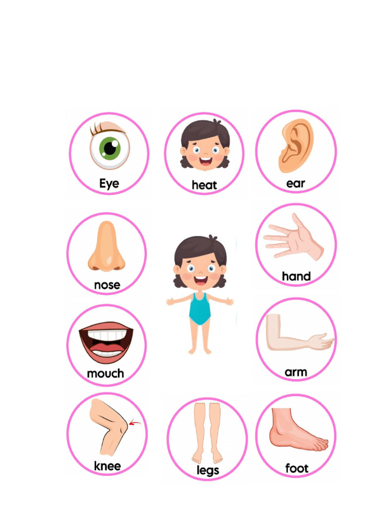 Body Parts | PDF