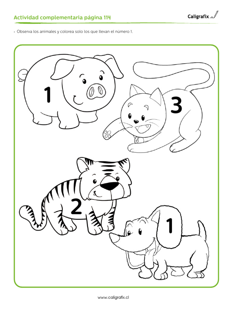 Balanci N Actividades Complementarias | PDF