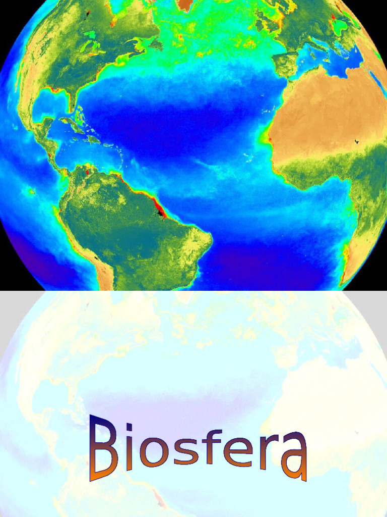 1 Biosfera | PDF