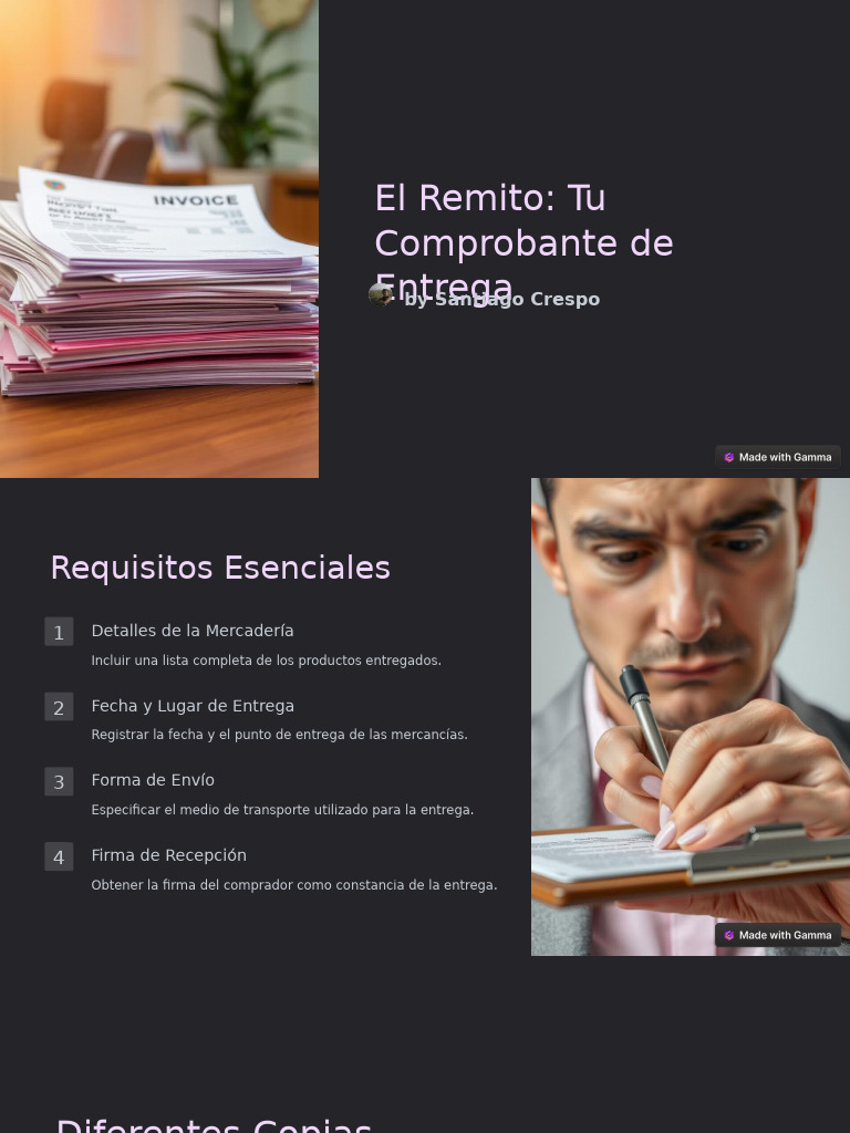 El Remito Tu Comprobante de Entrega | PDF
