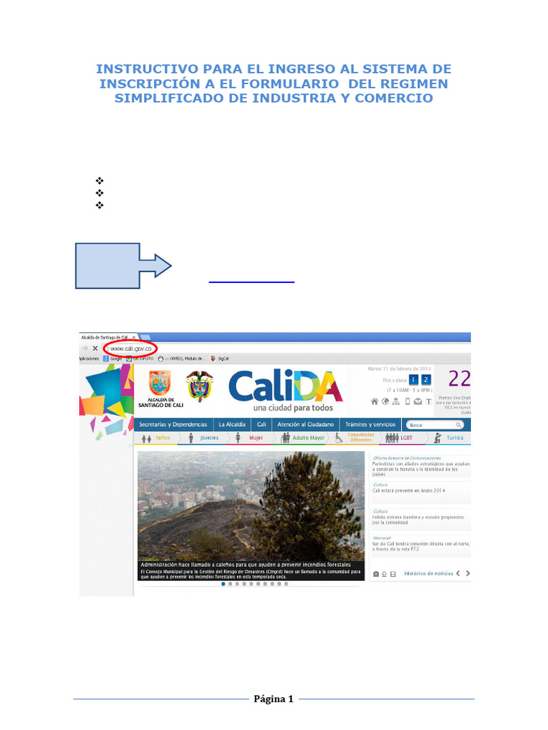 Instructivo Regimen Simplificado | PDF
