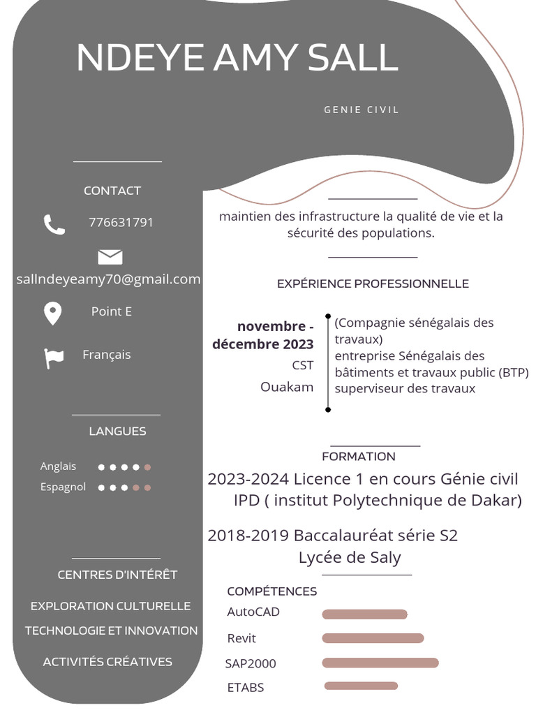 CV Ndeye Amy Sall | PDF