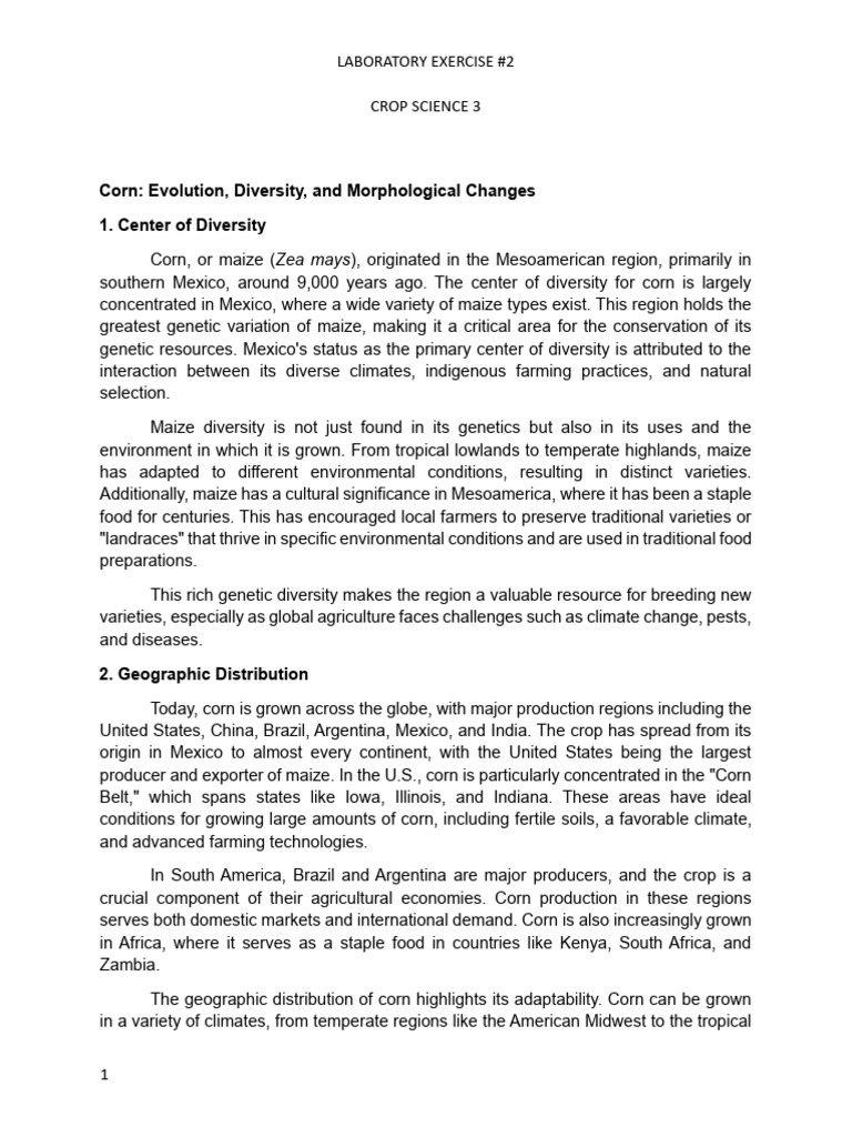 Written Crop Science-evolution of Corn | PDF
