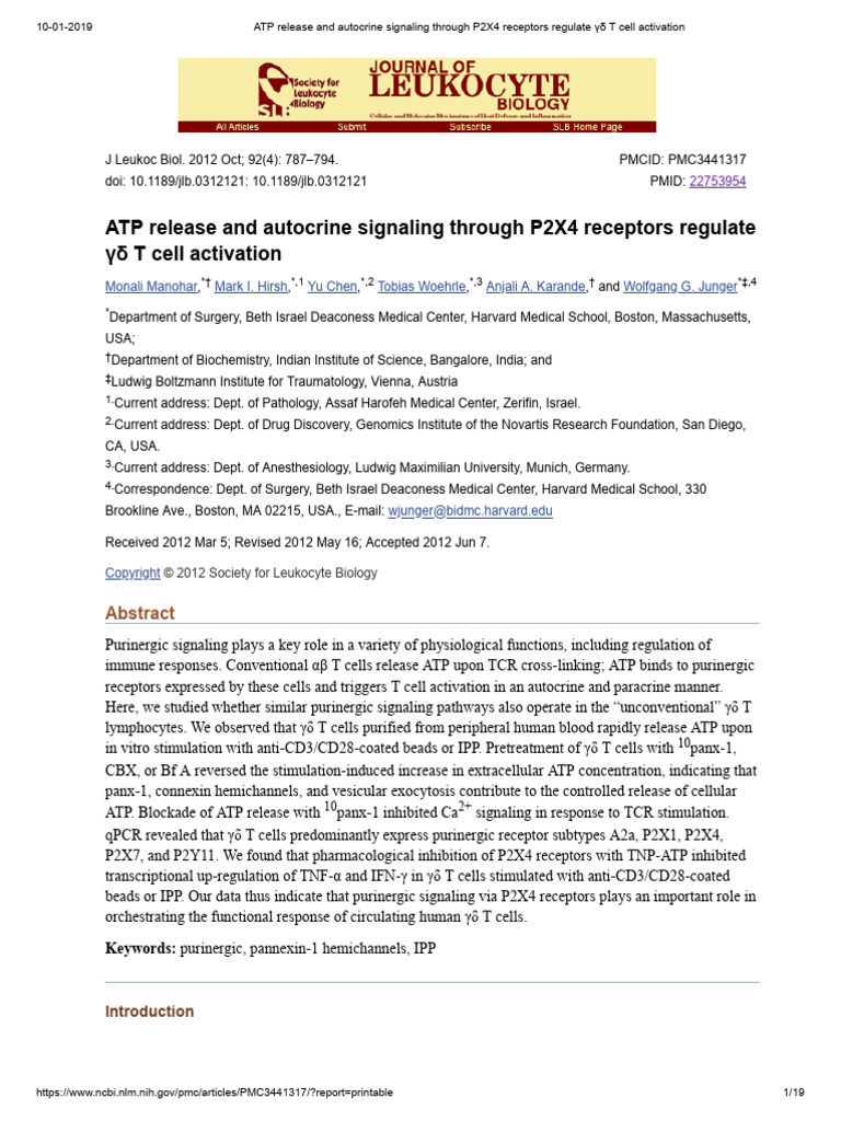 ATP release and autocrine signaling through P2X4 receptors regulate γδ T cell activation | PDF