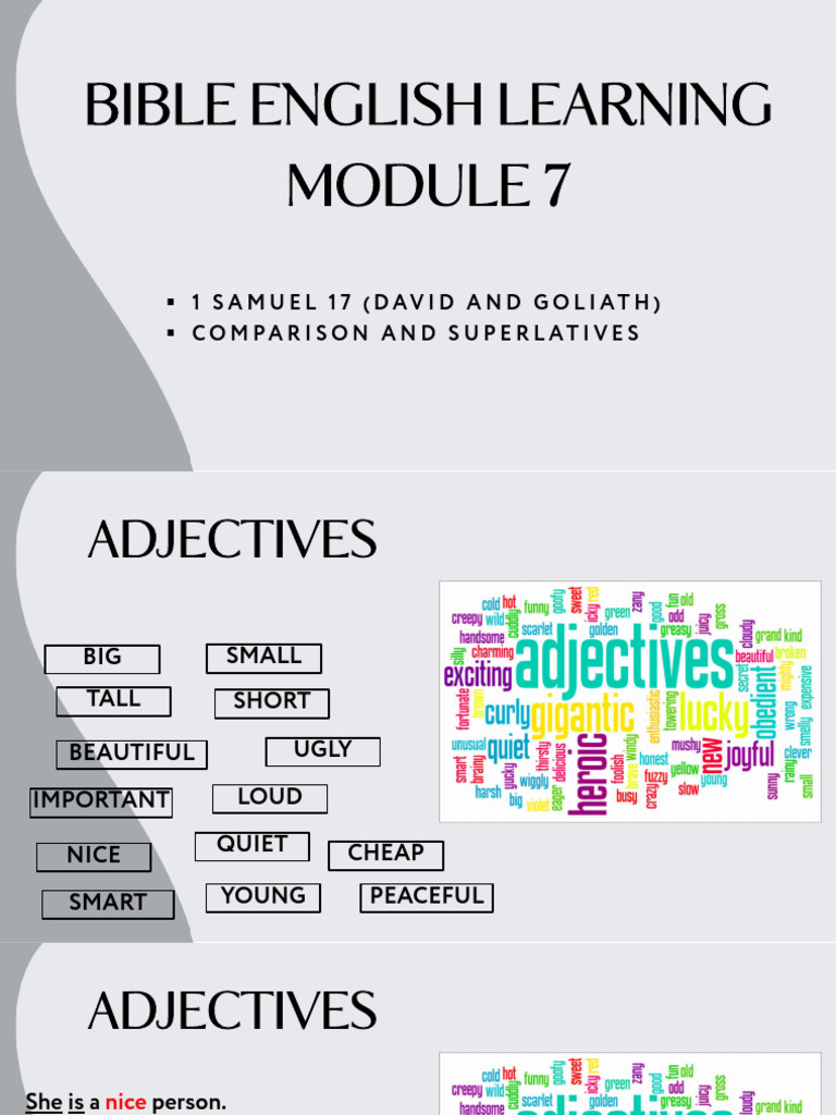 Bel 7 Module 7 Final | PDF