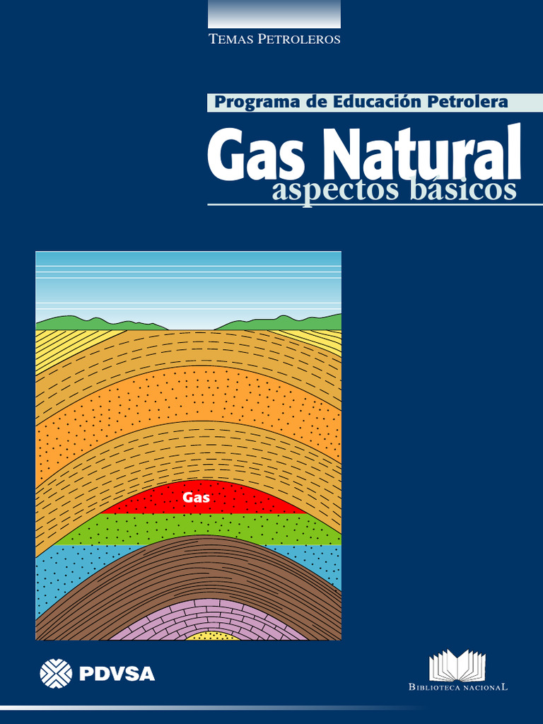 Gas Aspectos Basicos | PDF