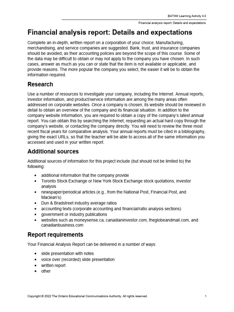 Bat4m 21 Financial Analysis Report | PDF