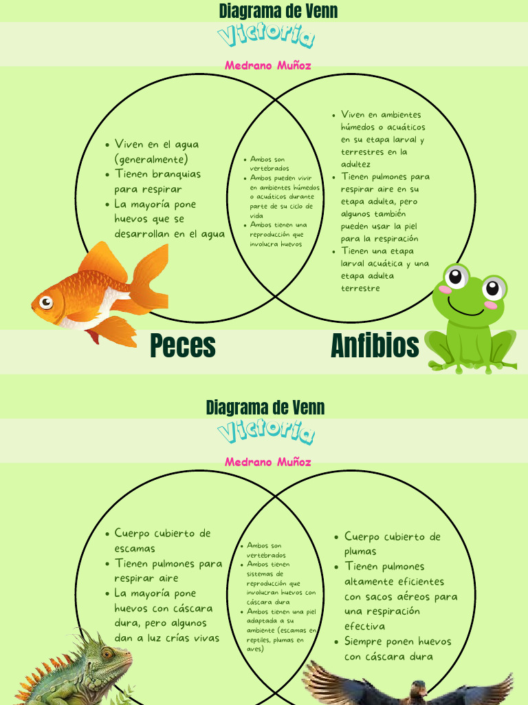 Diagrama De Venn De Repteis E Anfibios Núcleo Celular | Blog Do Prof.