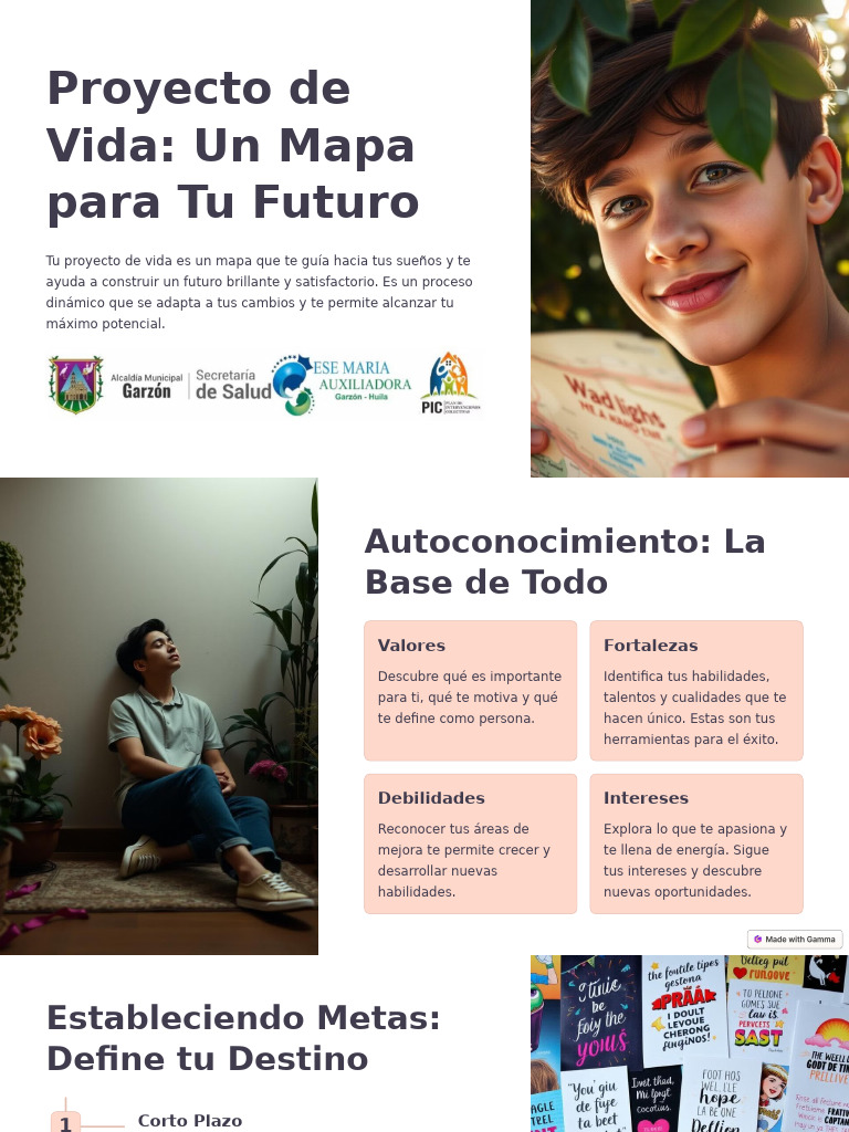 Proyecto de Vida Un Mapa para Tu Futuro | PDF | Planificación ...