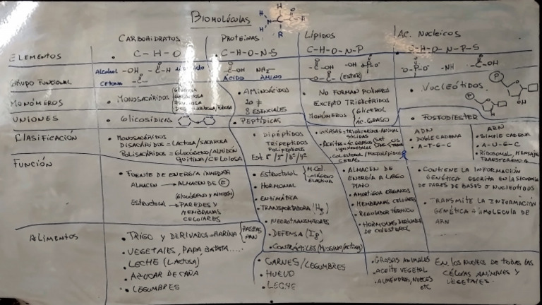 Biomoleculas bien explicados | PDF