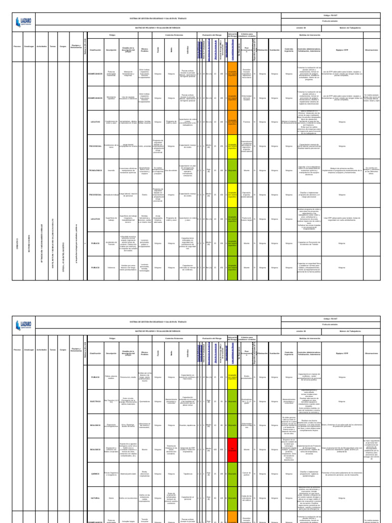 Matriz de Identificación ALV | PDF
