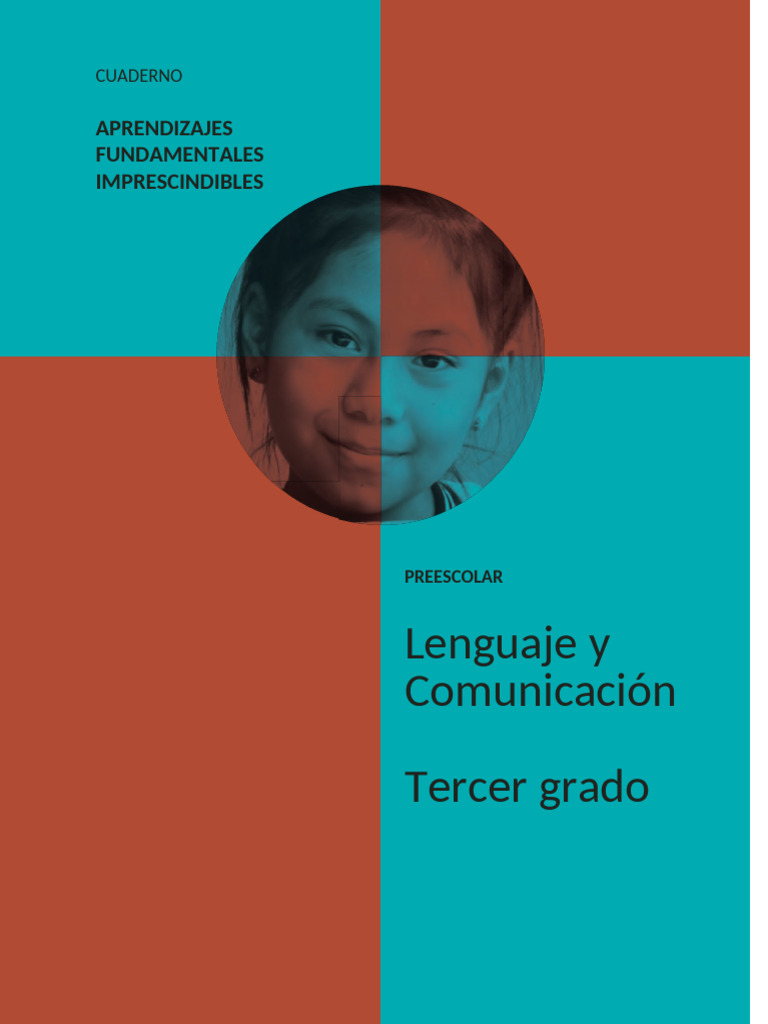Aprendizajes Fundamentales LYC TERCRO | PDF
