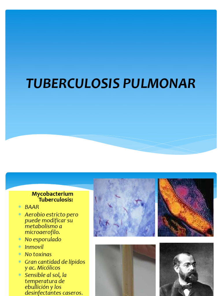 S2 TBC Pulmonar | PDF